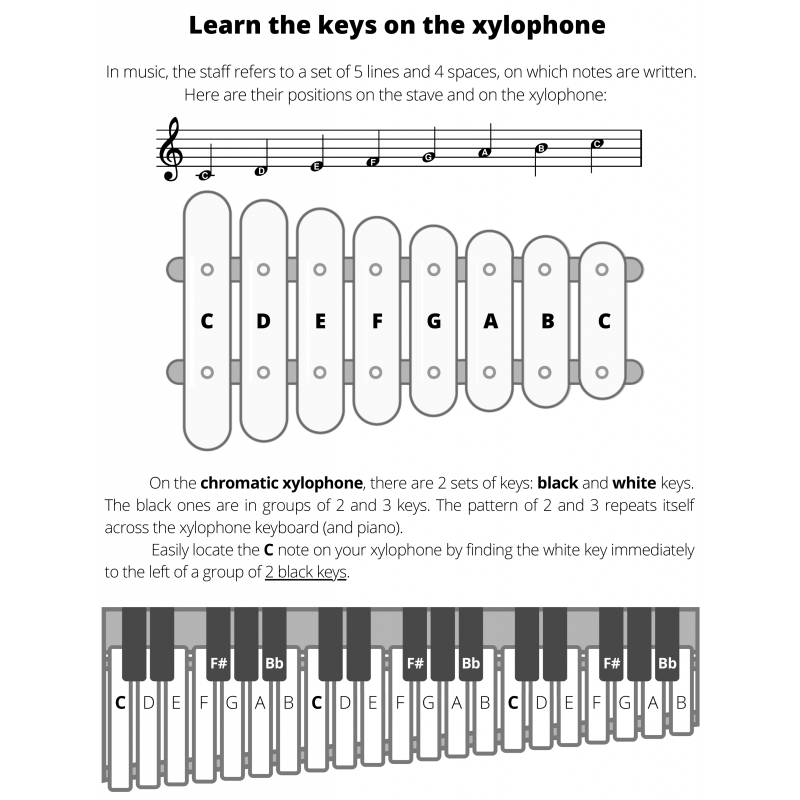 First 100 Songs to Play on Xylophone I Songbook for Beginners